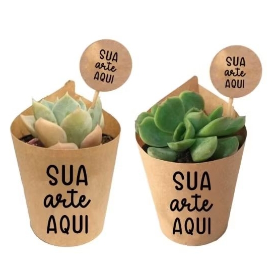 kit Rótulo e Tag para Suculentas, ideal para todas ocasiões ...