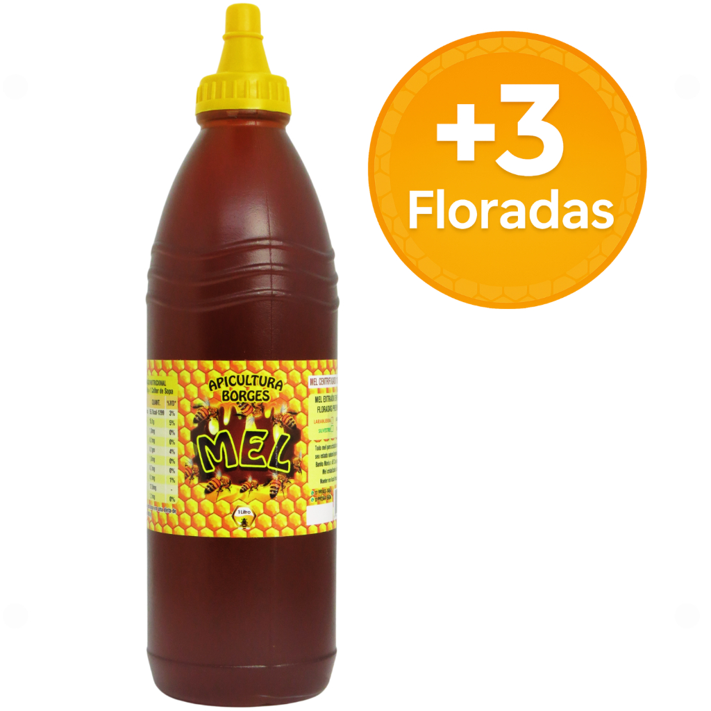 Mel Puro de Abelhas 1 Litro (1,4 kg) Mel Natural - Florada Eucalipto ...