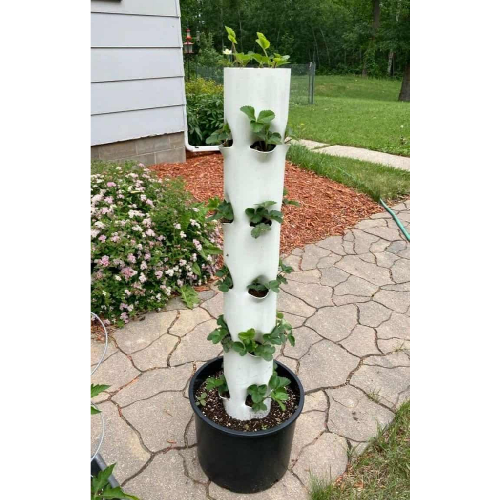horta vertical em cano PVC | Shopee Brasil
