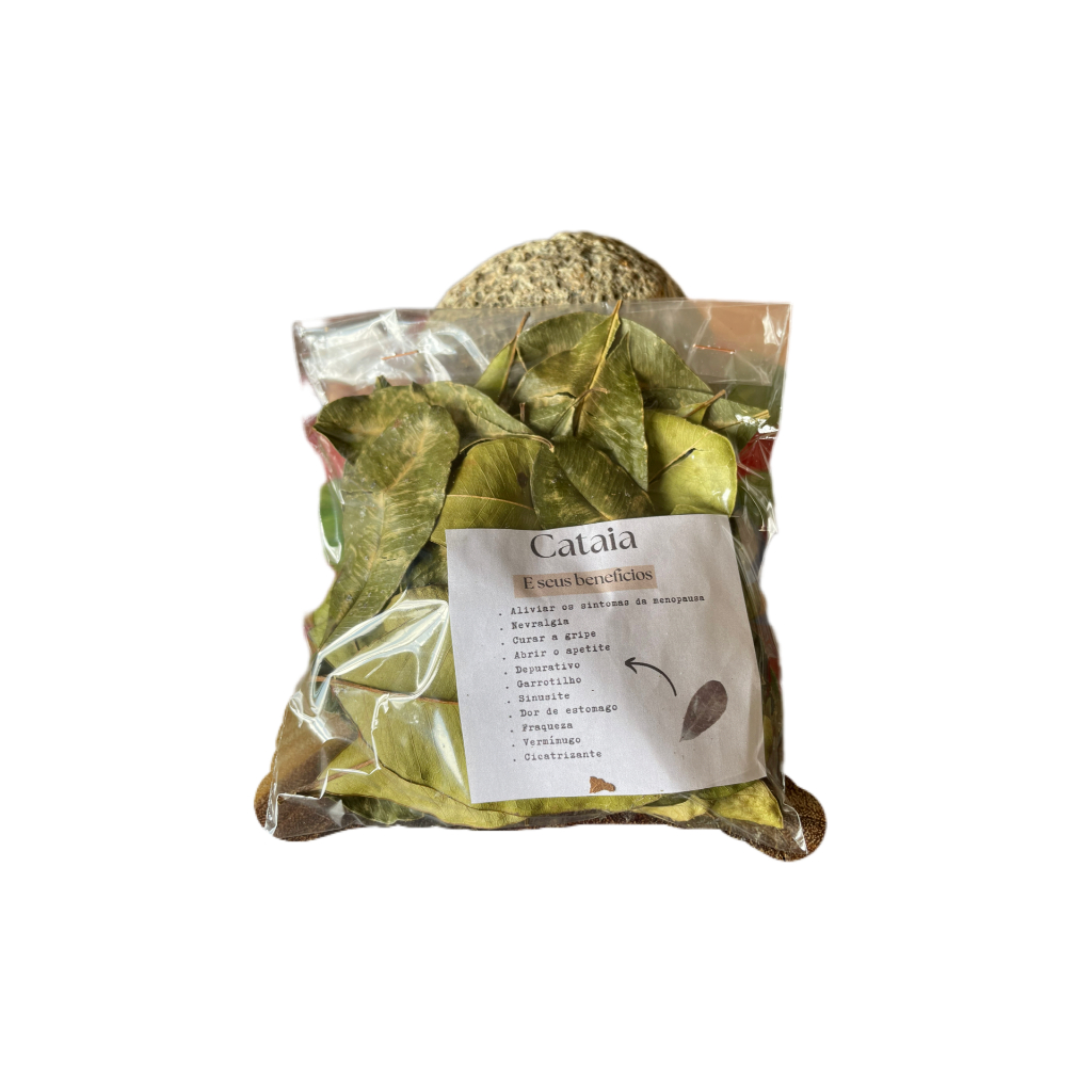 Cataia folha desidratada 20 gramas aprox 70 folhas | Shopee Brasil