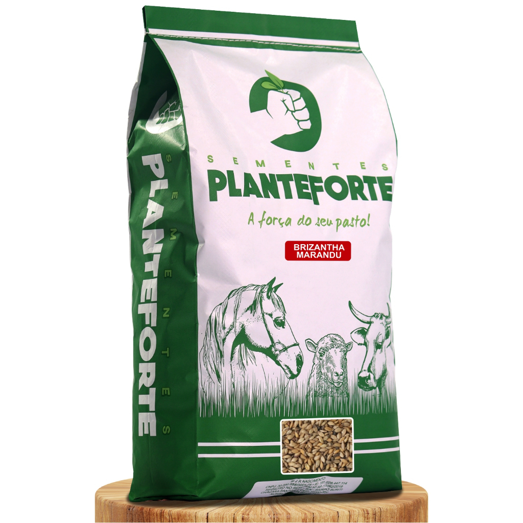 Semente Capim Brizantha Marandu Braquiarão Convencional - 20kg | Shopee ...