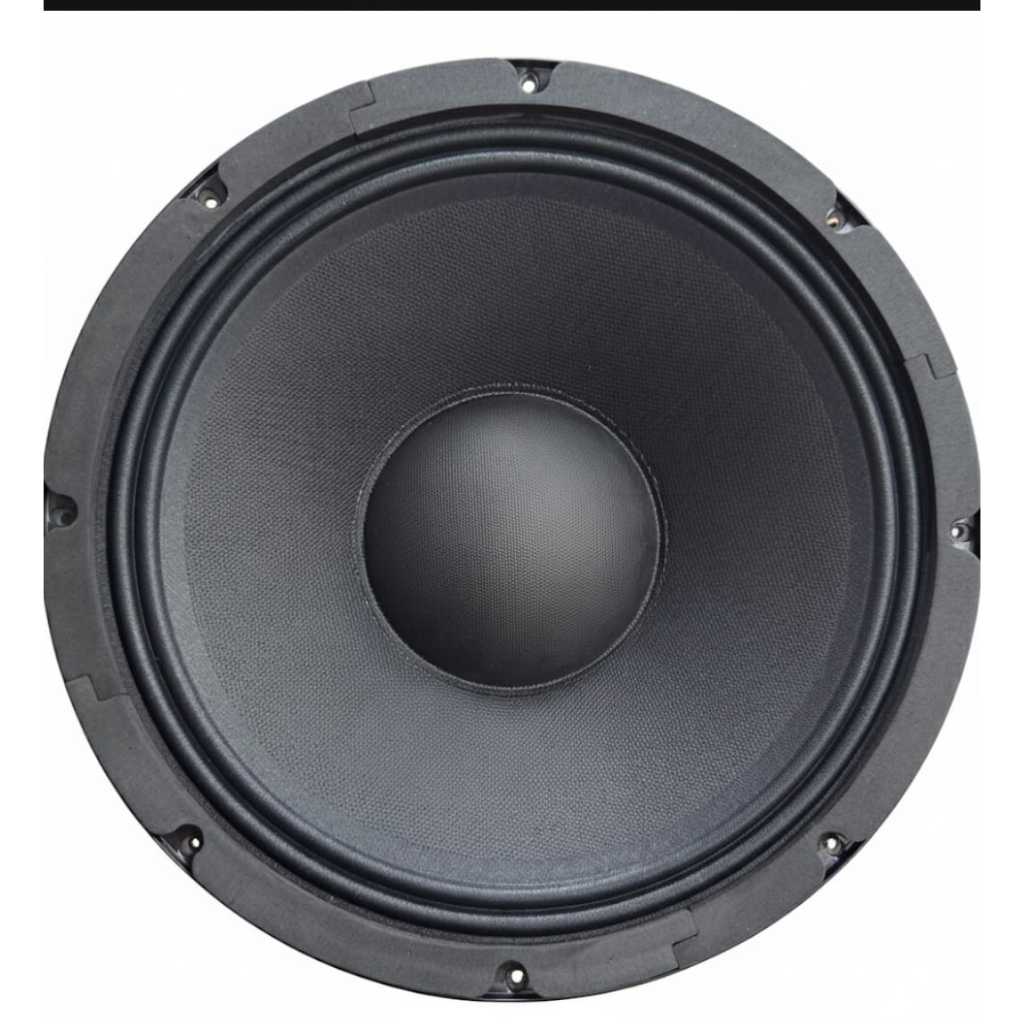 Auto Falante 12 Polegadas 300watts | Shopee Brasil