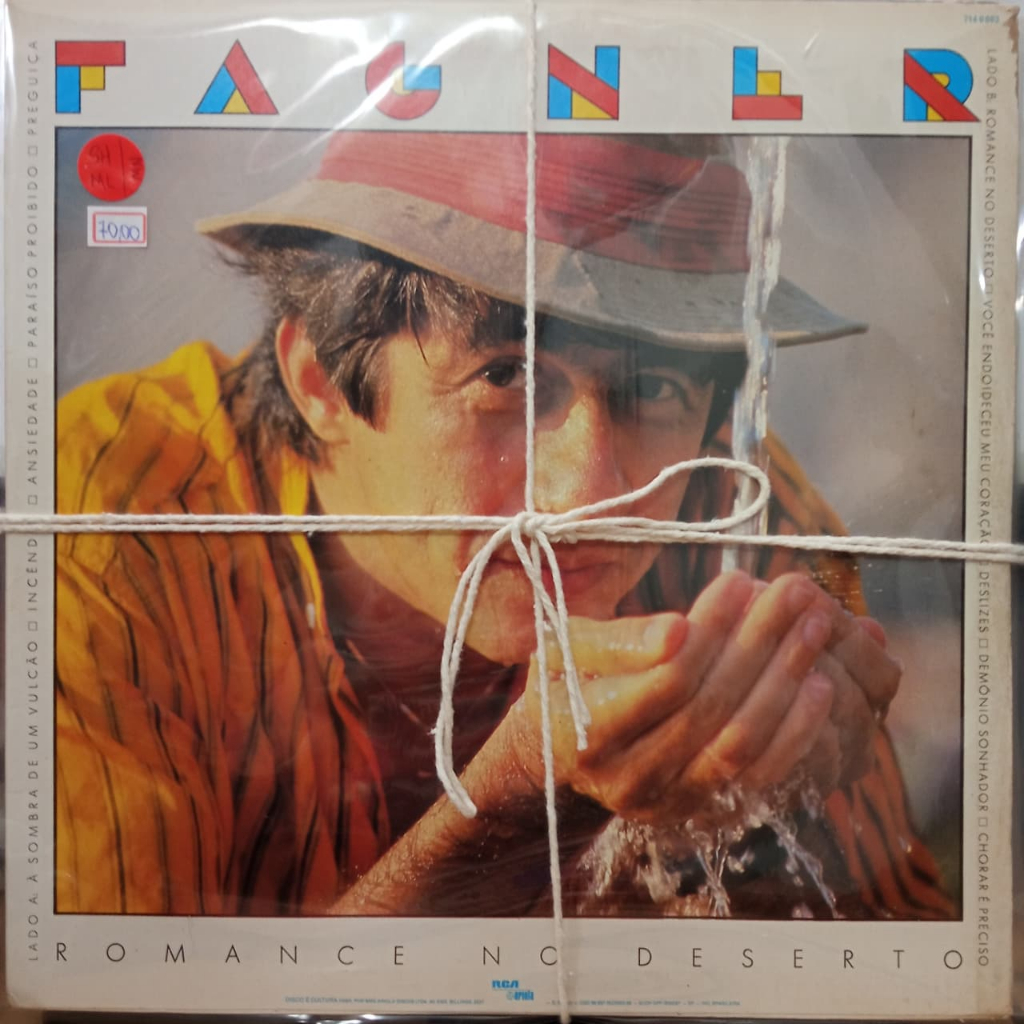 LOTE 10 LPs MPB – Fagner; Fábio Jr.; Wando; e muito mais! (1980-90 ...