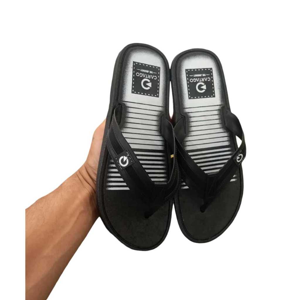 Chinelo Adulto Masculino Antiderrapante Cartago | Shopee Brasil