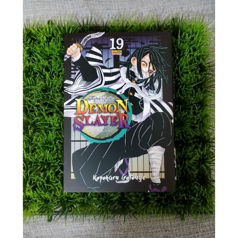 Manga Demon slayer- Kimetsu no yaiba Volume 19 | Shopee Brasil