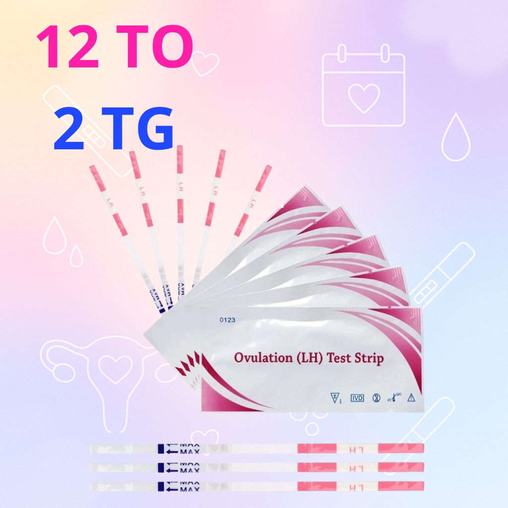 KIT 12 Testes de Ovulação + 2 Testes de Gravidez - TIRAS OVULACAO TG ...