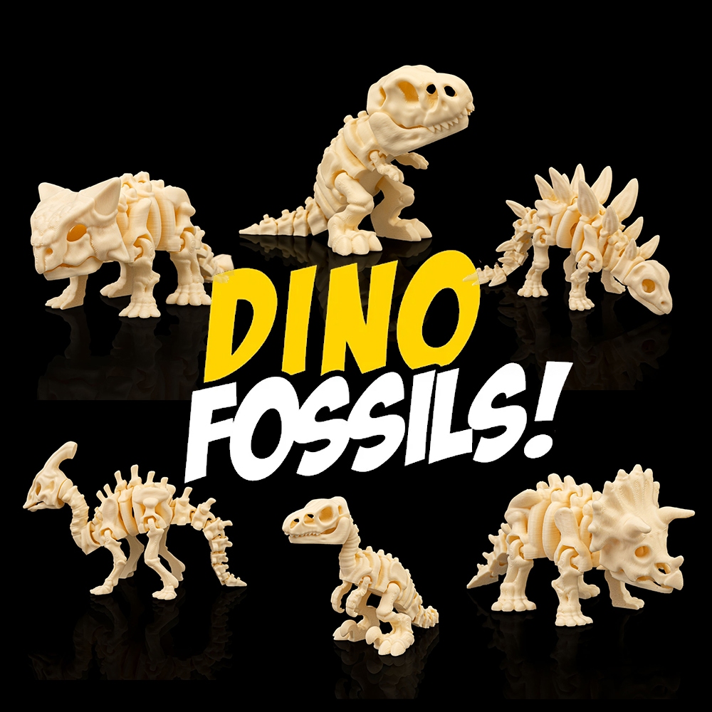 Kit Dino Fóssil Esqueletos Articulados | Shopee Brasil