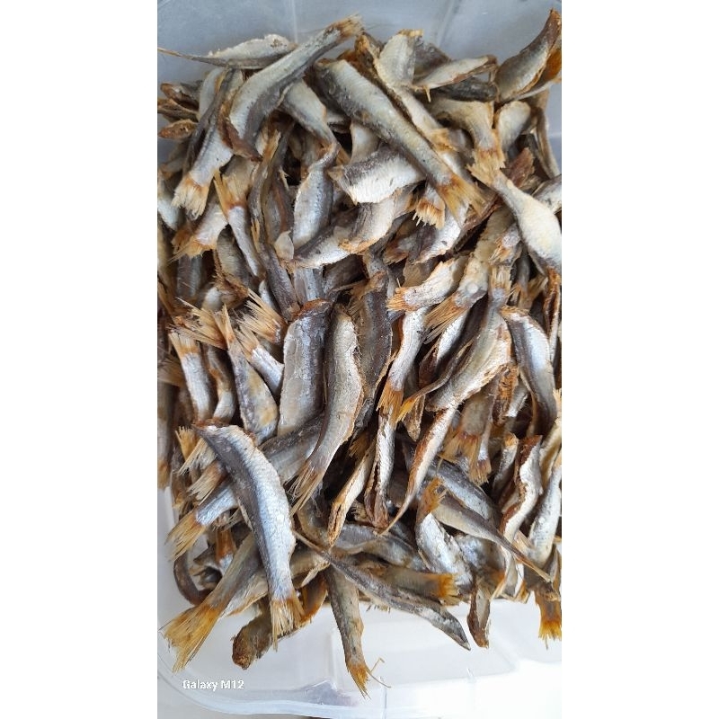PEIXE SECO SALGADO - TIPO PITITINGA | Shopee Brasil