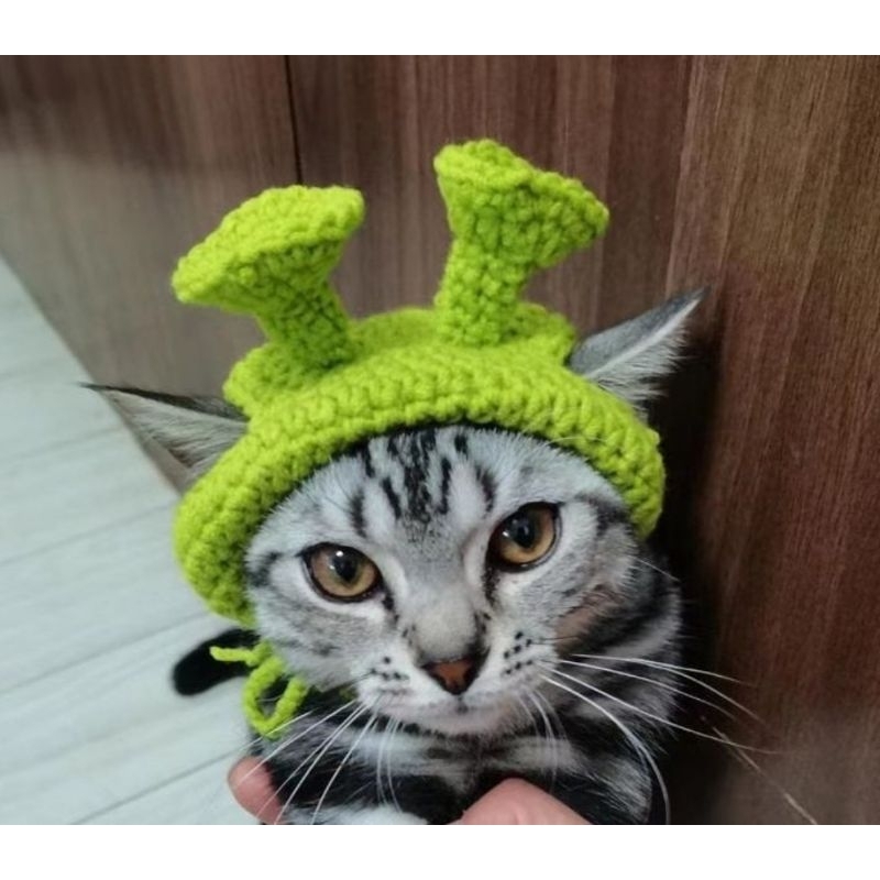 touca para gatos do Shrek | Shopee Brasil