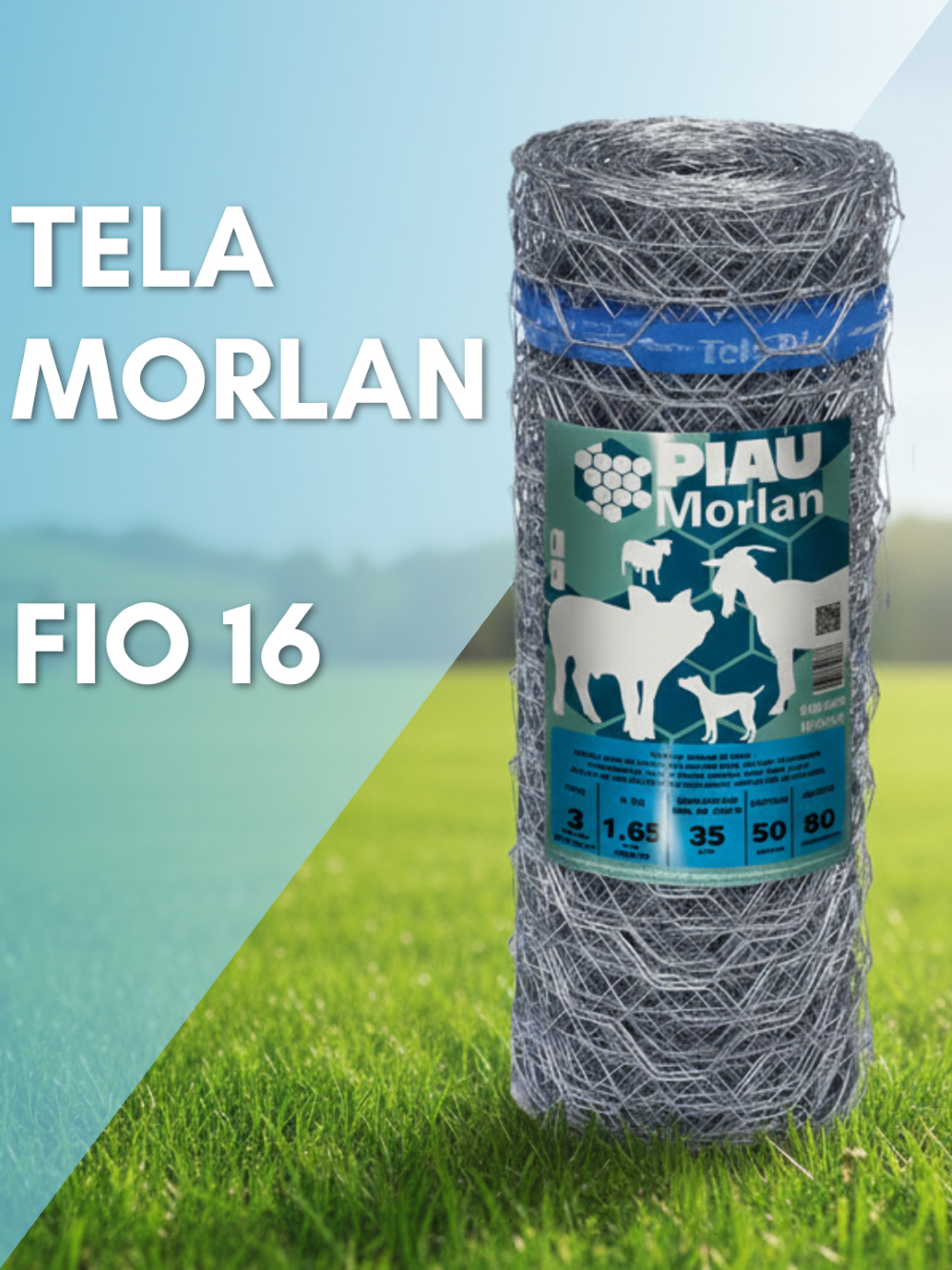 Tela Mangueirão 50m Fio 16 Arame Morlan Para Porcos Cabras Ovelhas ...