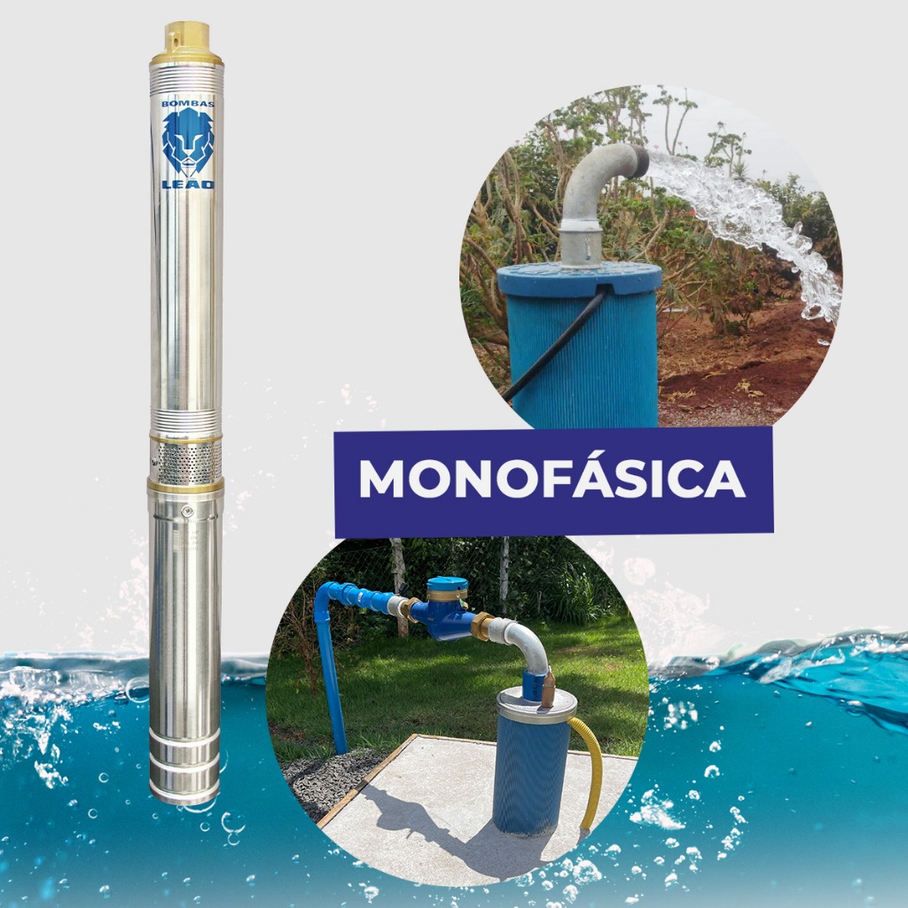 Bomba Submersa Leão 3r3pb-06 1/3cv Mono 220v 2 Fios | Shopee Brasil