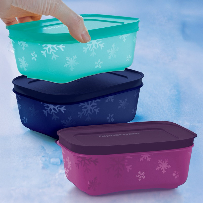 Kit Tupperware Freezer Line 450ml 3 peças | Shopee Brasil