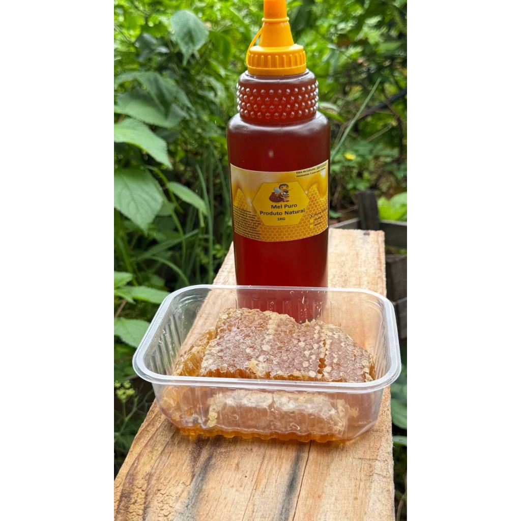 Kit Mel Puro 1Kg + 300g Favo de Mel Natural – Direto do Produtor ...