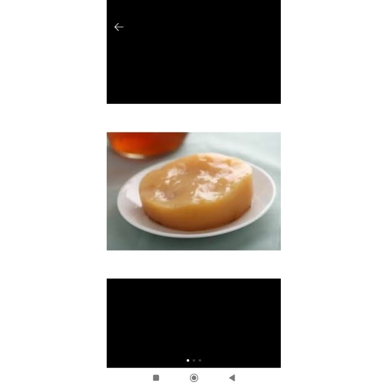 Scoby americano fracionado com manual | Shopee Brasil