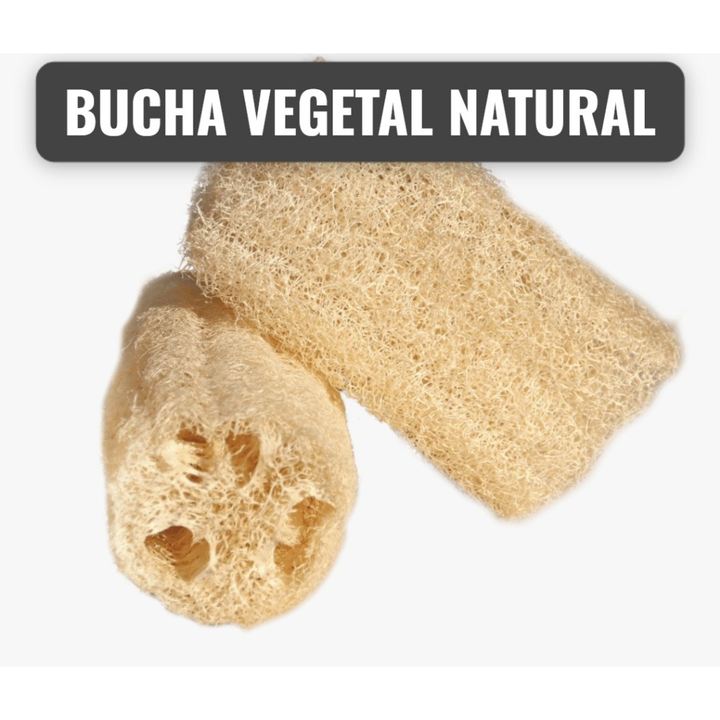 Bucha Vegetal Natural para Banho Esfoliante - 01 Unidade | Shopee Brasil