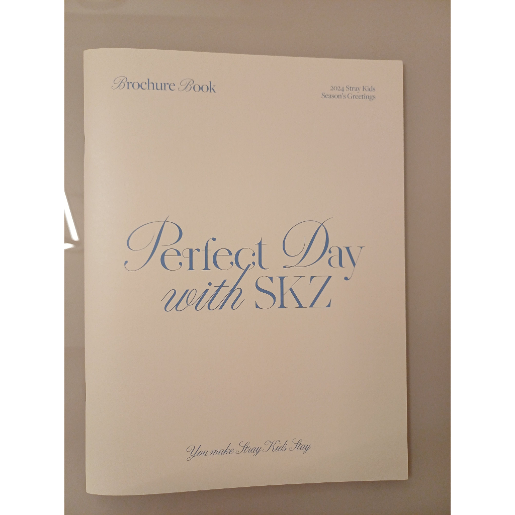 Stray Kids Perfect Day with SKZ Brochure Book | Shopee Brasil