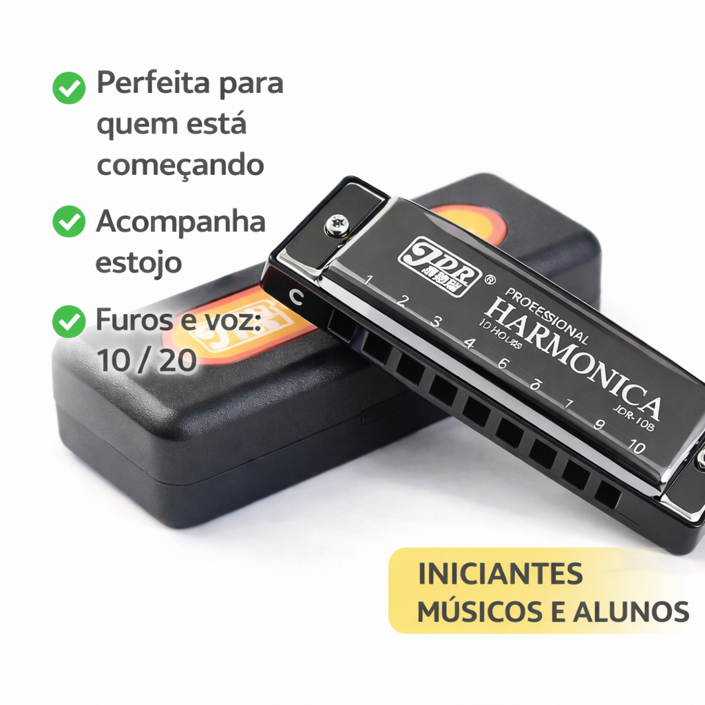 Gaita Harmônica Blues Em Dó C 10 Furos 20 Vozes Diatônica Com Estojo ...