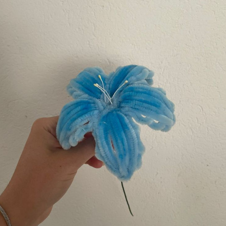 Flor de limpador de cachimbo, lírio de limpador de cachimbo, rosa de ...