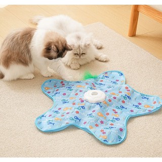 Brinquedo Interativo 360° Formato Estrela para Gatos com Varinha ...