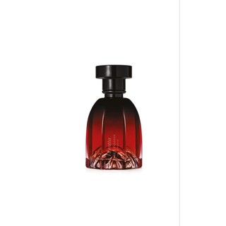Floratta Rose Sucrée / Red Passion / Fleur D' Éclipse Eau de Parfum 75 ...