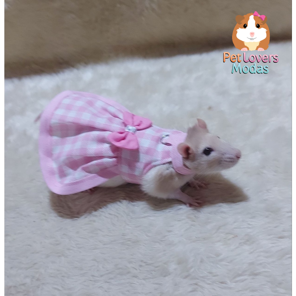 Roupa Vestido Pet Rosa charmoso + lacinho e guia para rato twister ...