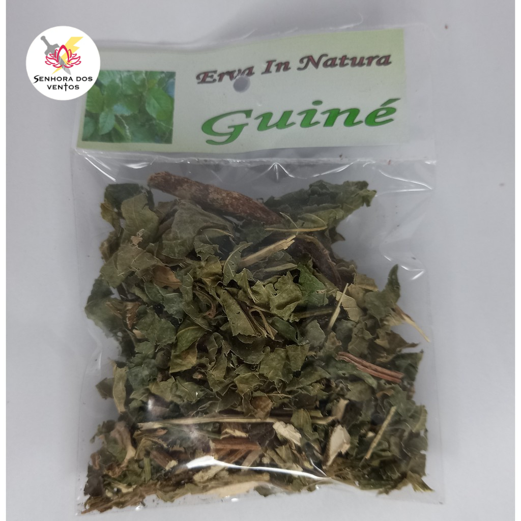 Guiné - Erva Seca/ Erva in Natura | Shopee Brasil