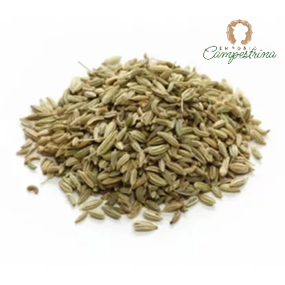 Erva Doce Desidratada Qualidade Premium | Shopee Brasil