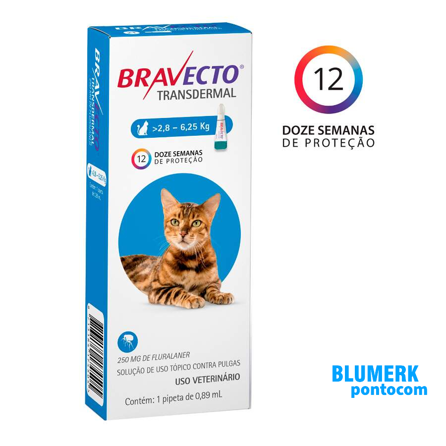 Antipulgas Bravecto Transdermal MSD para Gatos 2,8 a 6,25kg | Shopee Brasil