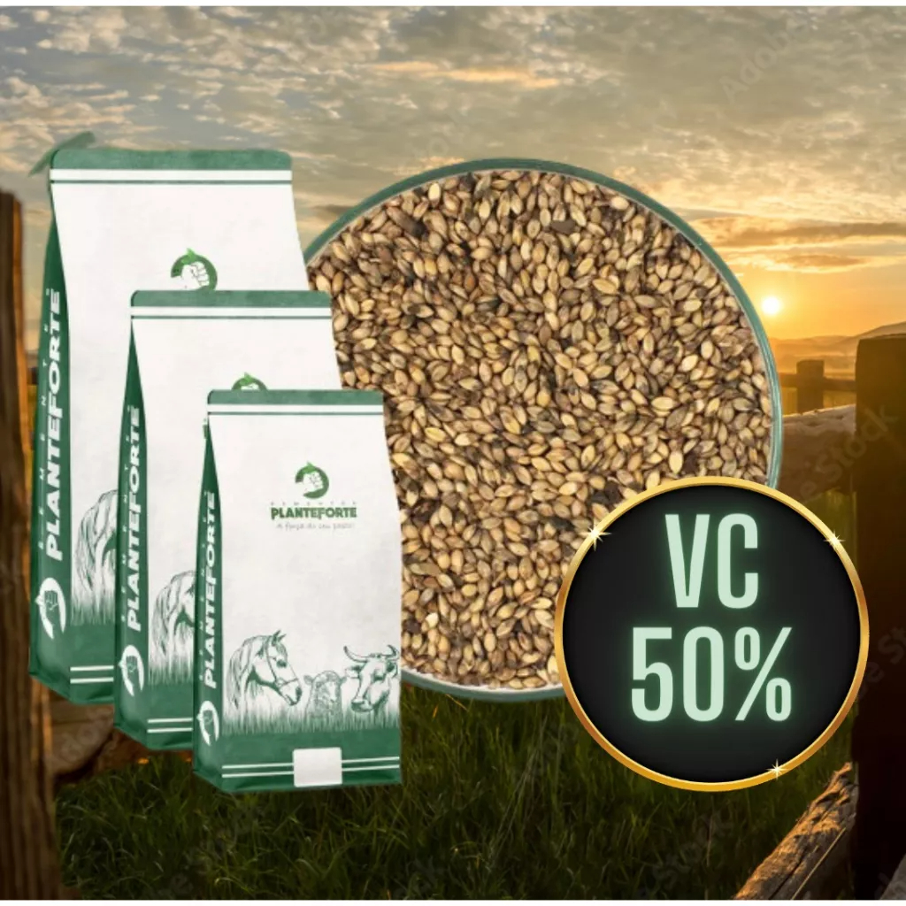 Brachiaria Brizantha cv. Marandu Convencional -5kg | Shopee Brasil