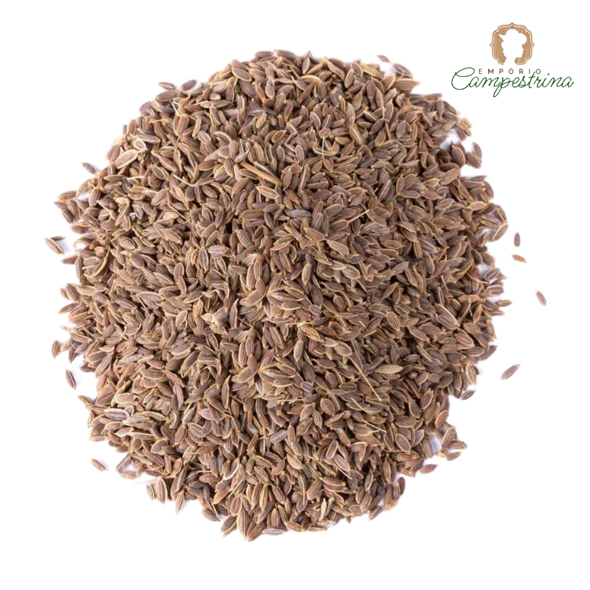 Endro (Dill) Desidratado Tempero Erva Qualidade Premium | Shopee Brasil