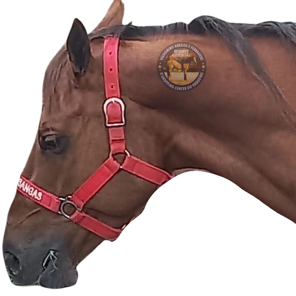 Cabresto Cavalos personalizado Quarto De Milha Reforçado escolha o nome ...