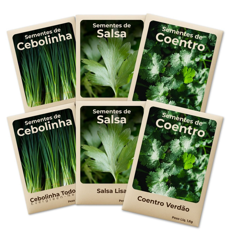 Semente Coentro Salsa e Cebolinha Crescimento Rápido Cultivo Fácil e ...
