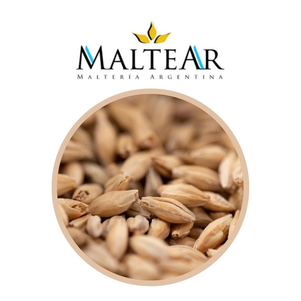 Malte Pilsen - Maltear - 1Kg | Shopee Brasil