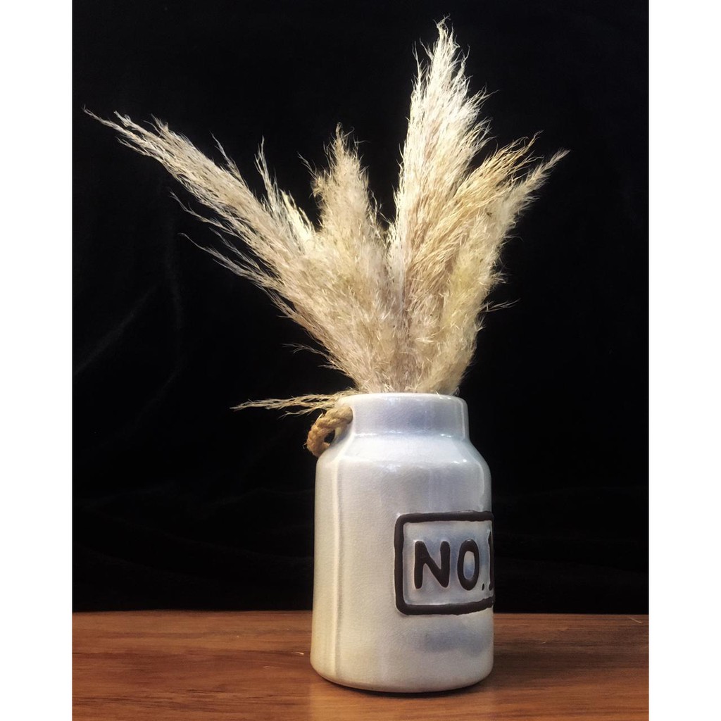 Mini Capim dos Pampas - colorido seco natural decoração Pinterest ...