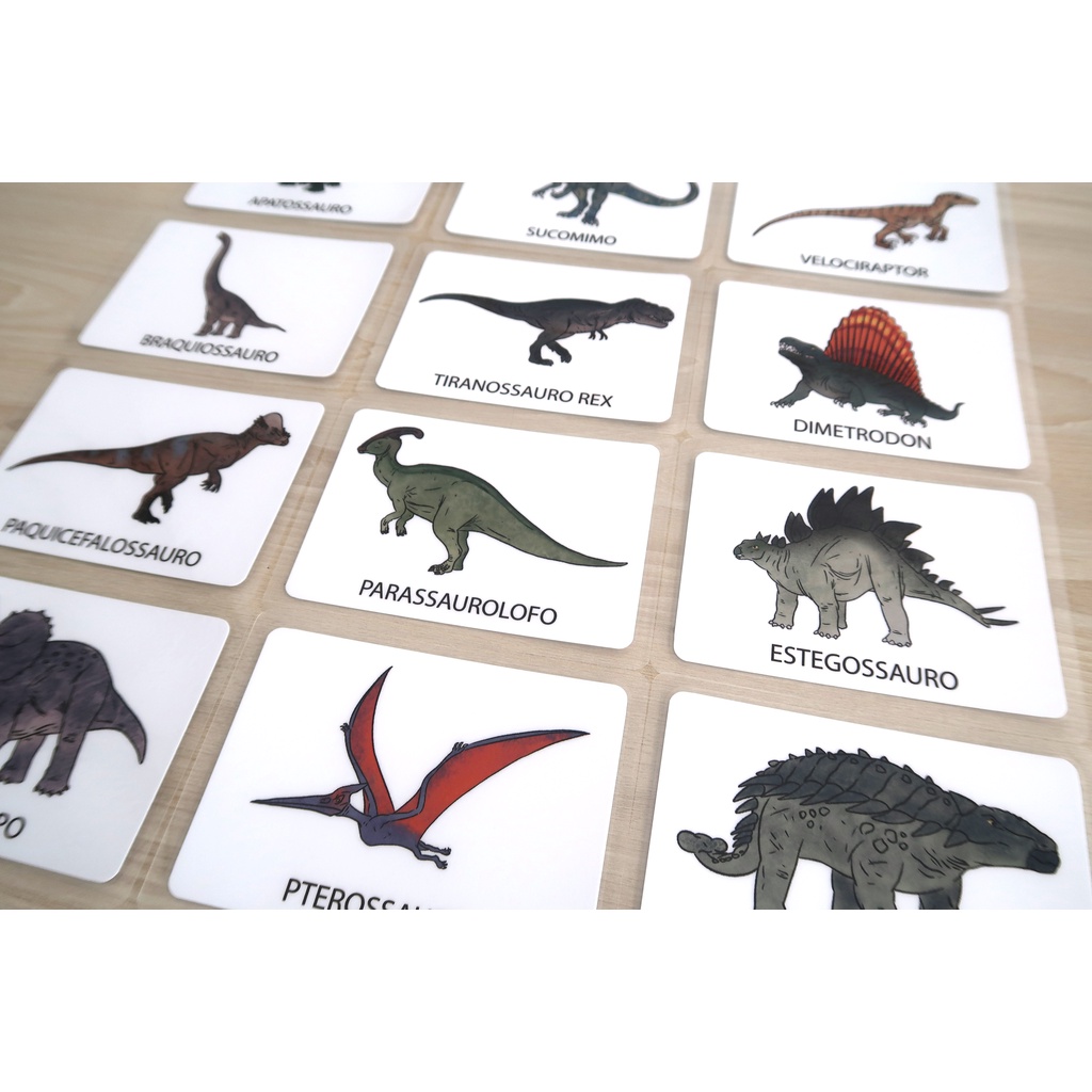 Kit 12 Flashcards de Dinossauros | Shopee Brasil