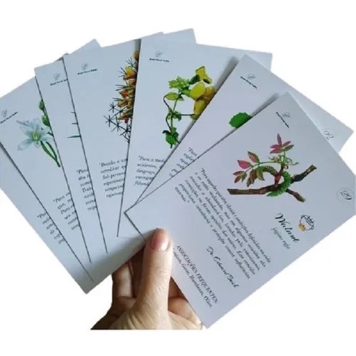 40 Cards Florais Do Dr. Edward Bach Tam. 10x15 cards florais de bach ...
