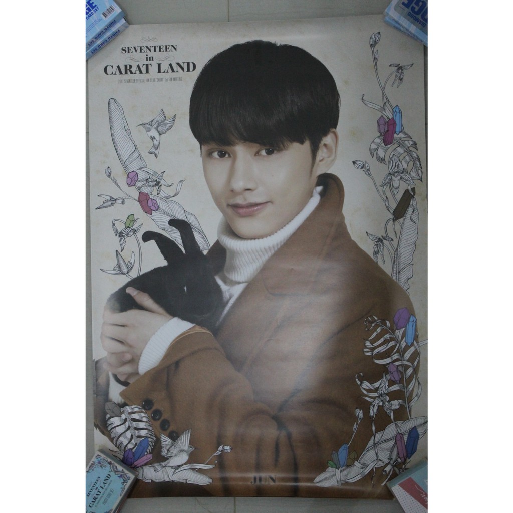 Poster Seventeen Jun Caratland Oficial Fanmeeting | Shopee Brasil