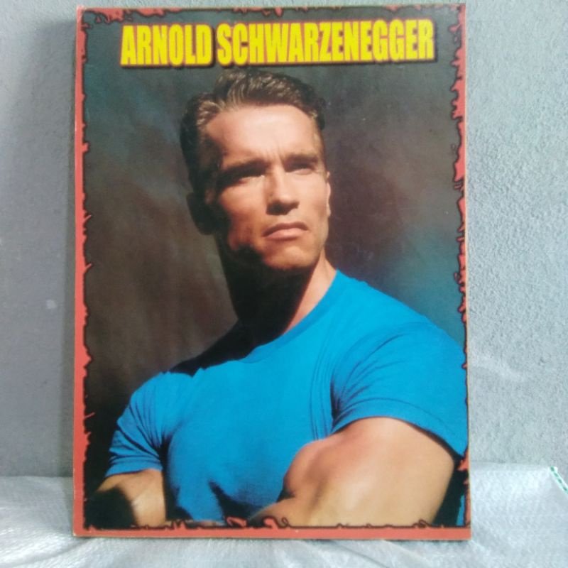 quadro decorativo Arnold Schwarzenegger | Shopee Brasil
