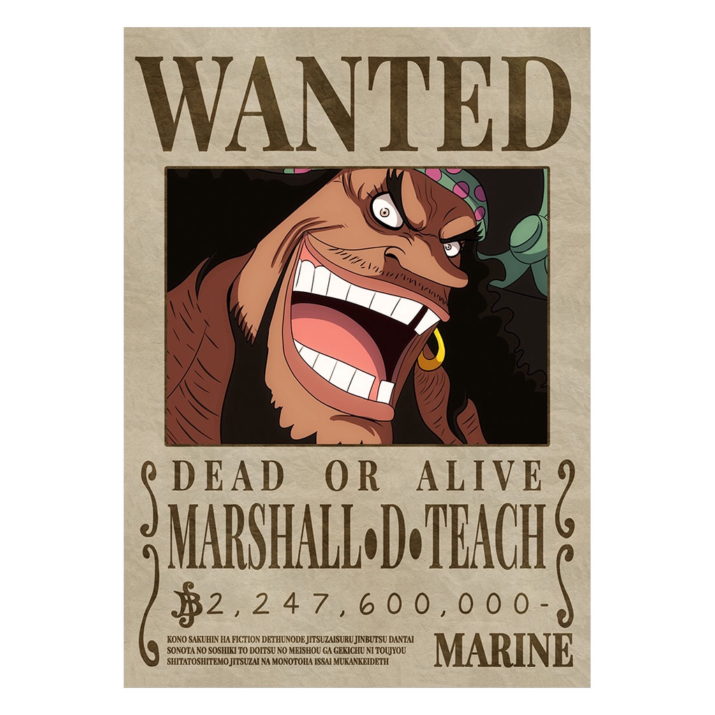 quadro one piece quadros decorativos one piece tamanho 10x15 + brinde ...