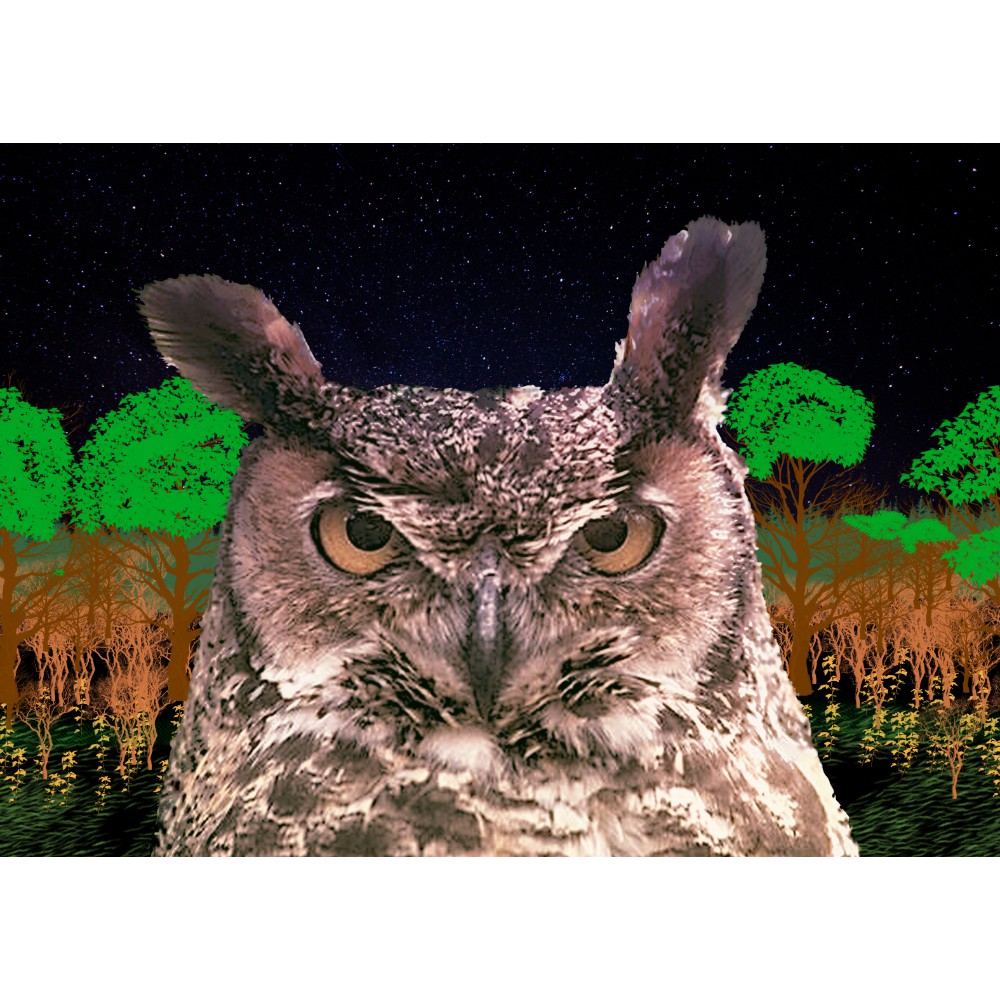 Placa Decorativa "Coruja na Floresta" | Shopee Brasil