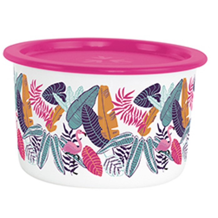 Tupperware Instantânea 575ml - Varios Modelos | Shopee Brasil