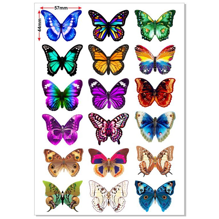 18 adesivos de BORBOLETAS - 57X44mm | Shopee Brasil
