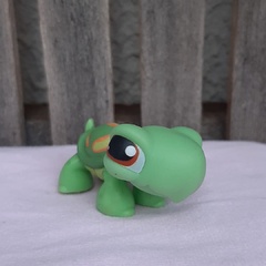 Tartaruga lps | Shopee Brasil