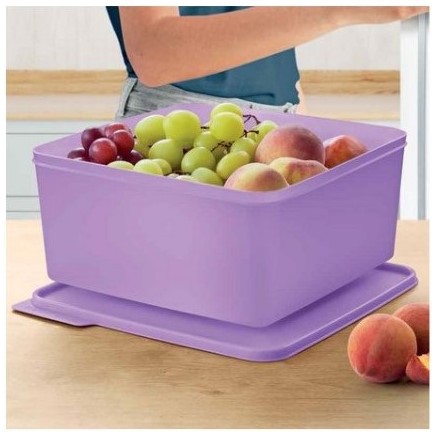 TUPPERWARE BASIC LINE 5 L | Shopee Brasil