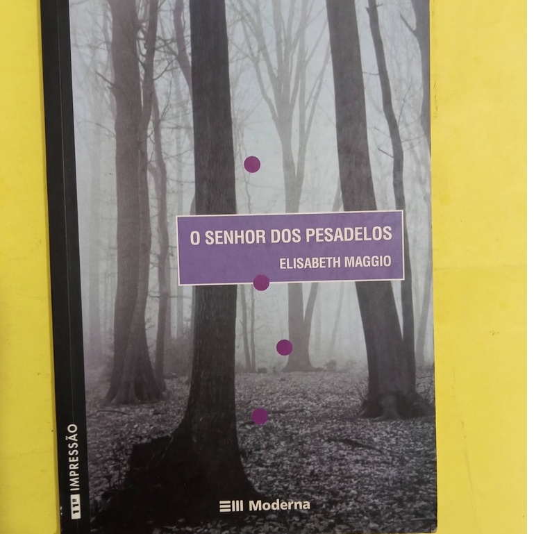 O senhor dos pesadelos - Elizabeth Maggio | Shopee Brasil
