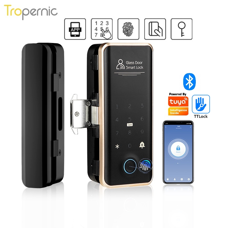 Tuya Smart Lock For Glass Door Fingerprint Code Card Quadro Sem Moldura ...