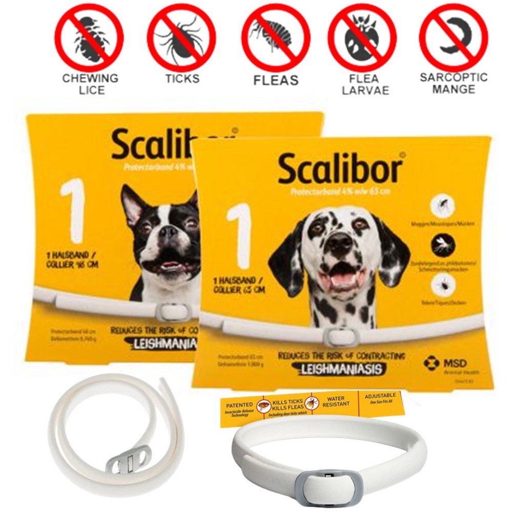Coleira Scalibor Grande Antipulgae leishmaniasis Pulga E Tick Para Cães ...