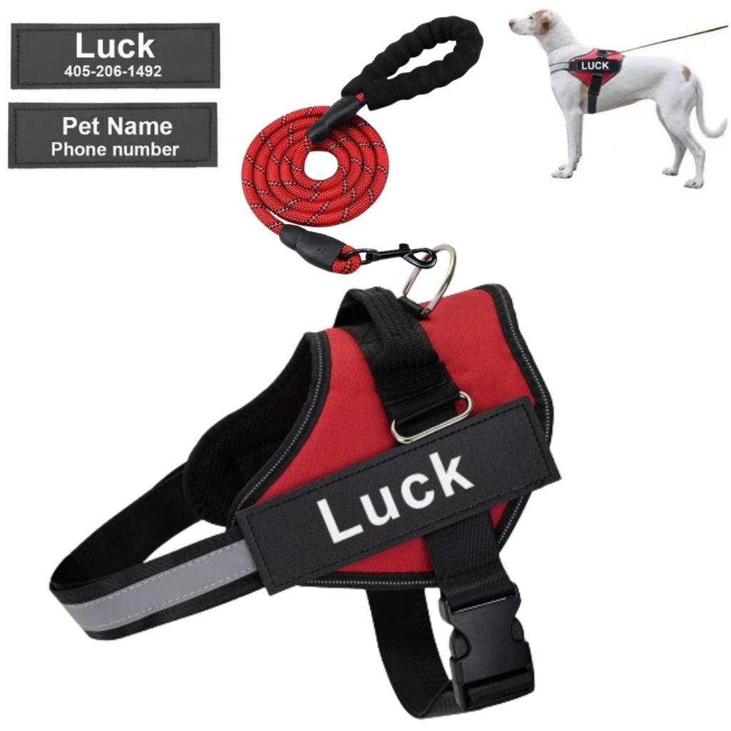 Fato De Arreios Personalizado Para Cães Sem Colete Reflexivo Respirável ...