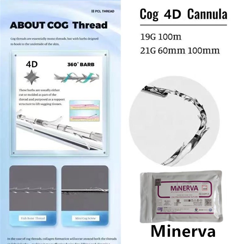 Min erva 20 4d cone cog | Shopee Brasil