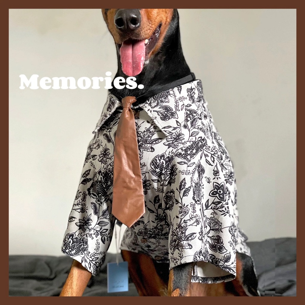 Yuppie chic ~ Golden Fur Fall Big Dog Labrador Camisa Tie Plankton ...